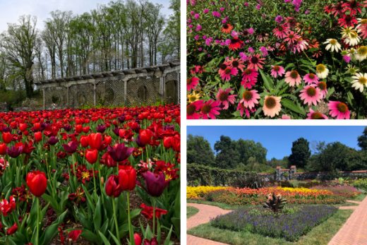 18 Best Things To Do At Biltmore Estate To Get Your Money's Worth ...