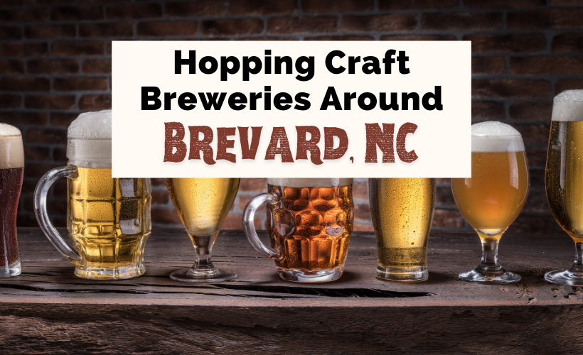 4 Refreshing Breweries In Brevard, NC For After That Hike | Uncorked ... 4 Refreshing Breweries In Brevard, NC For After That Hike | Uncorked ...