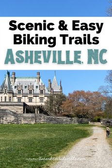 8 Scenic & Adventurous Asheville Mountain Biking Trails | Uncorked ...