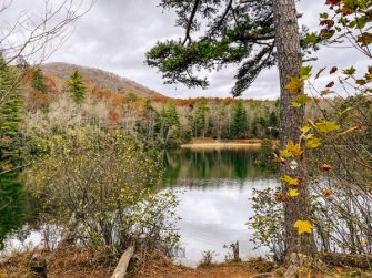 Easy Hikes Near Asheville For Waterfalls, Picnics, & Blooms - Uncorked ...