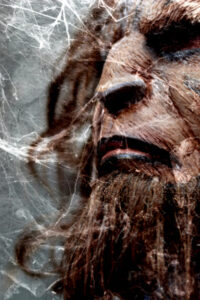 North Carolina Cryptids, Urban Legends, & Folklore: 10 Fascinating Tales - Uncorked Asheville